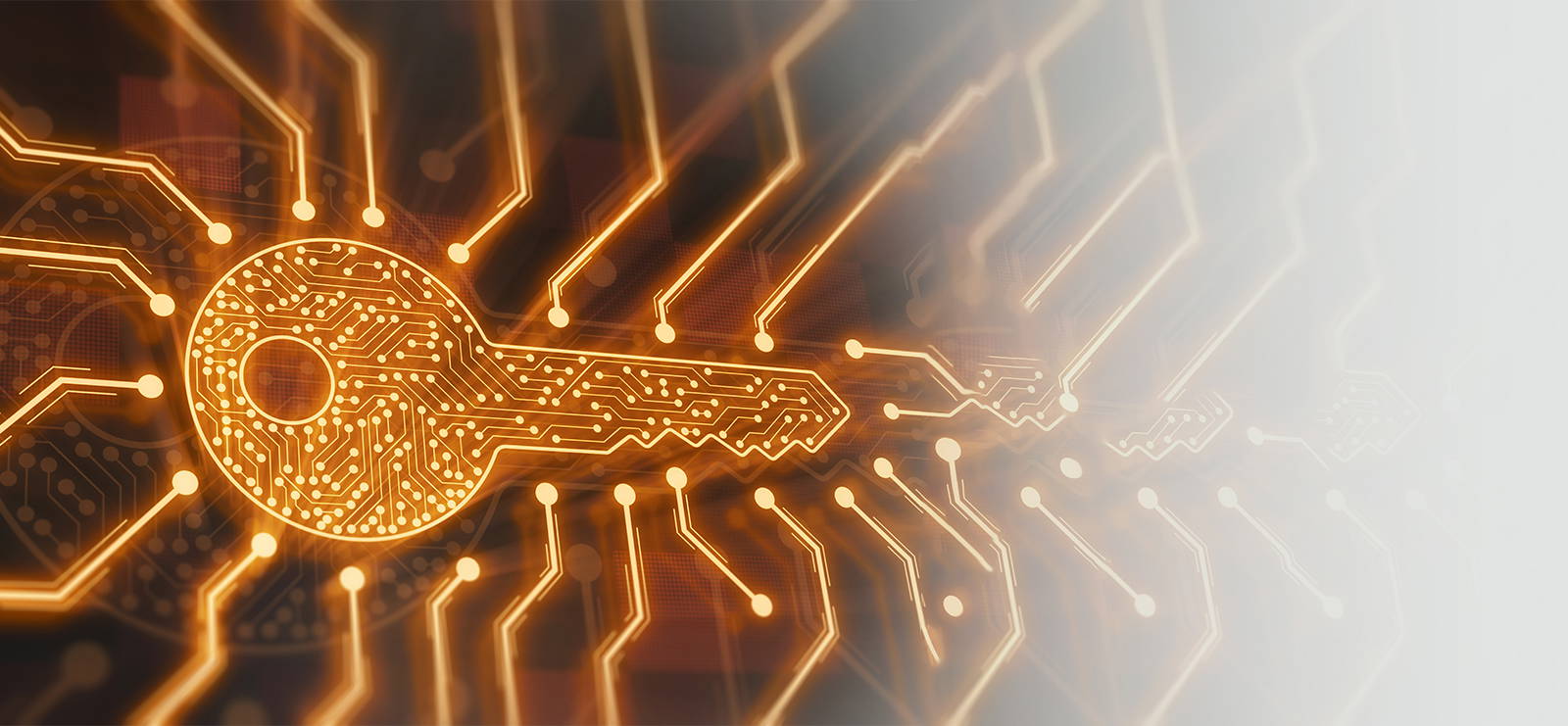 Master Key Suite System | Locksmith Dublin